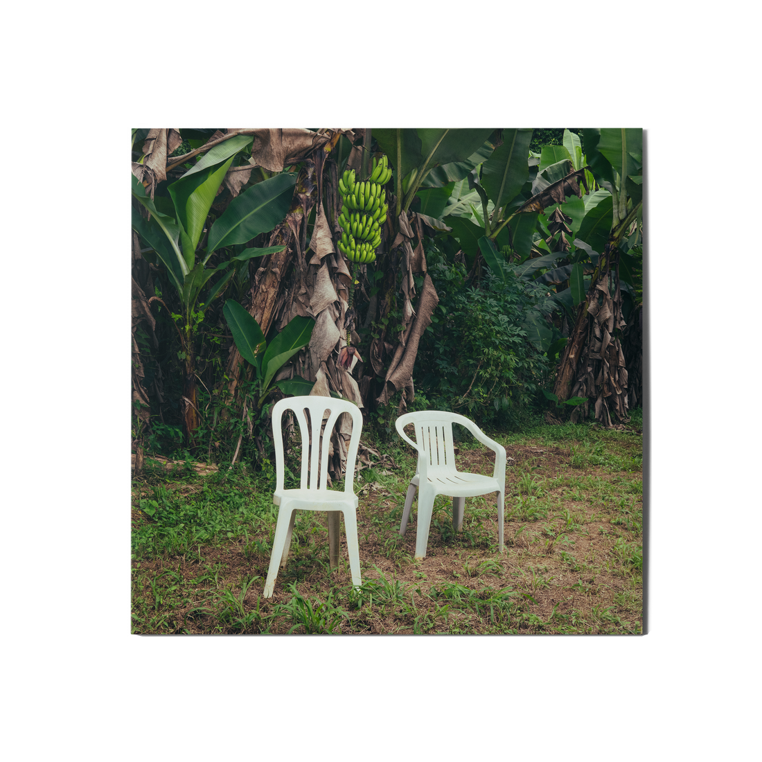 DeBÍ TiRAR MáS FOToS Double Vinyl Gatefold – Debi Tirar Mas Fotos Vinyl